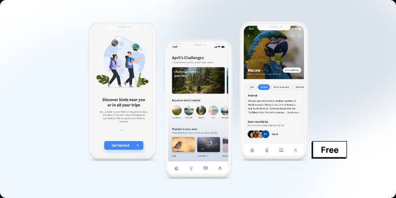 Bird Watching App Figma Template - Ui4free.com