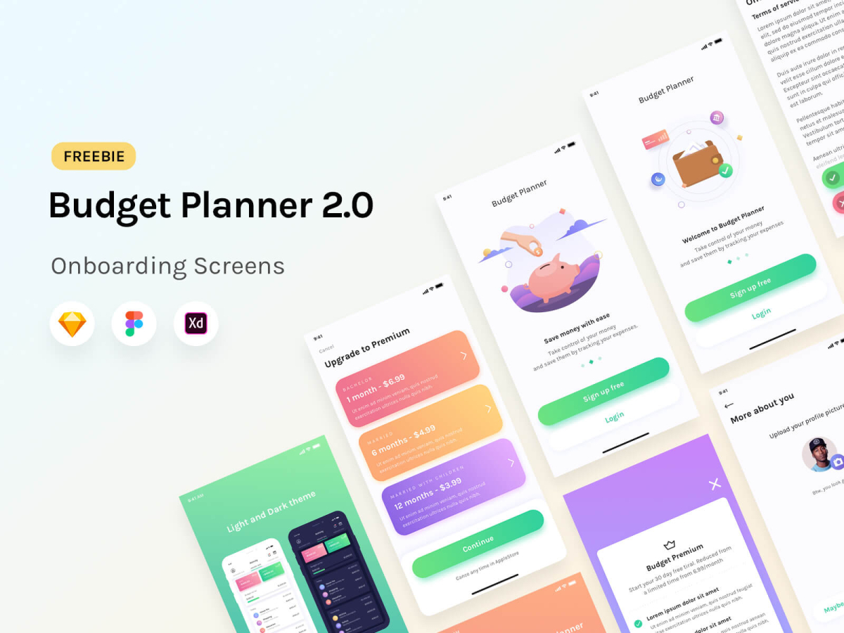 Budget Planner Mobile Onboarding | UI4Free