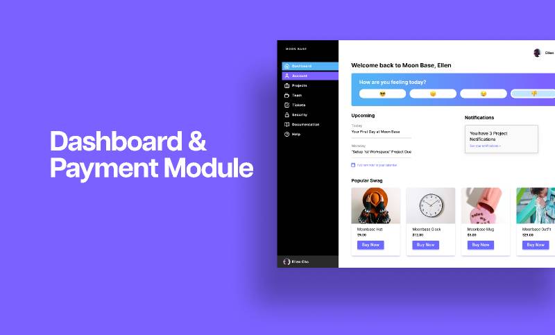 Dashboard & Payment Module Figma Template | UI4Free
