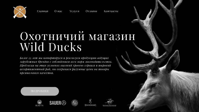Hunting shop Wild Ducks Website Hero Section | UI4Free