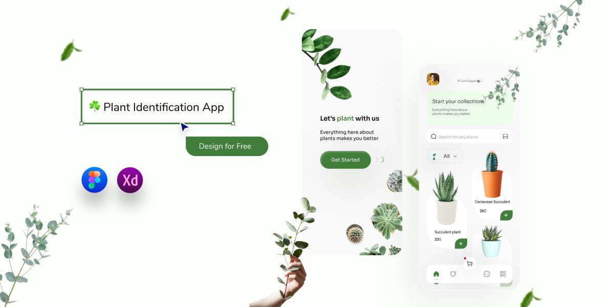 Plant Identification App UI4Free