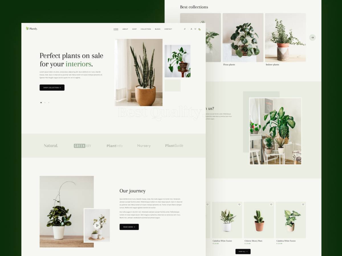 Plantly – Free Plant Shop Figma Template | UI4Free