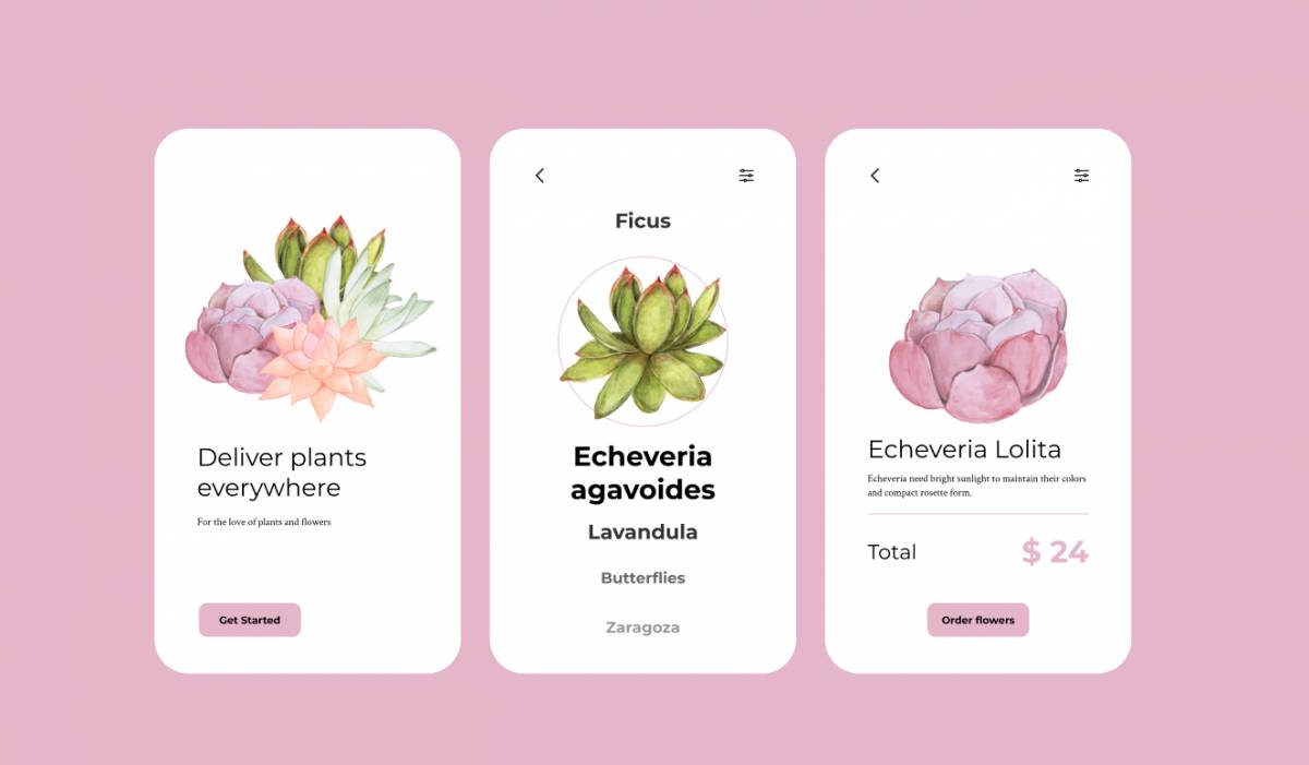 Plants with love figma | UI4Free